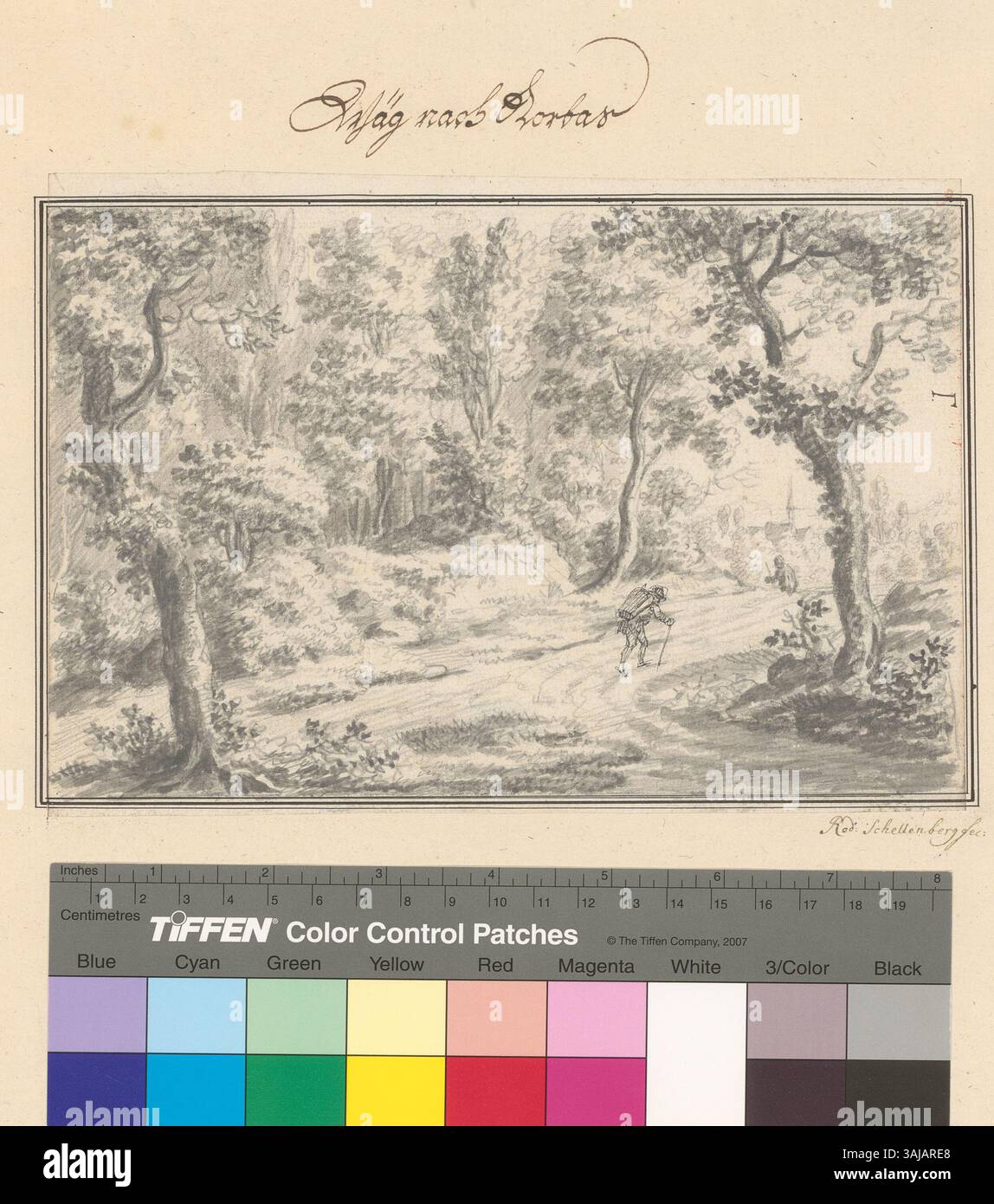 A drawing between 1760 and 1806 by Johann Rudolph Schellenberg titled ...