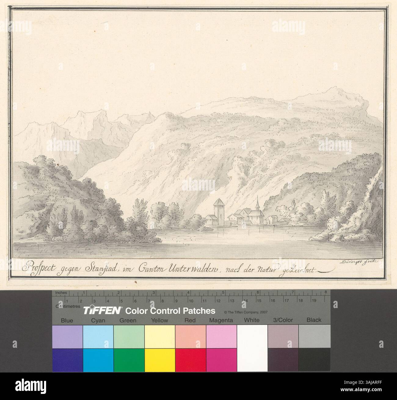This 1740-1760 drawing by Daniel Düringer features a naturalistic ...