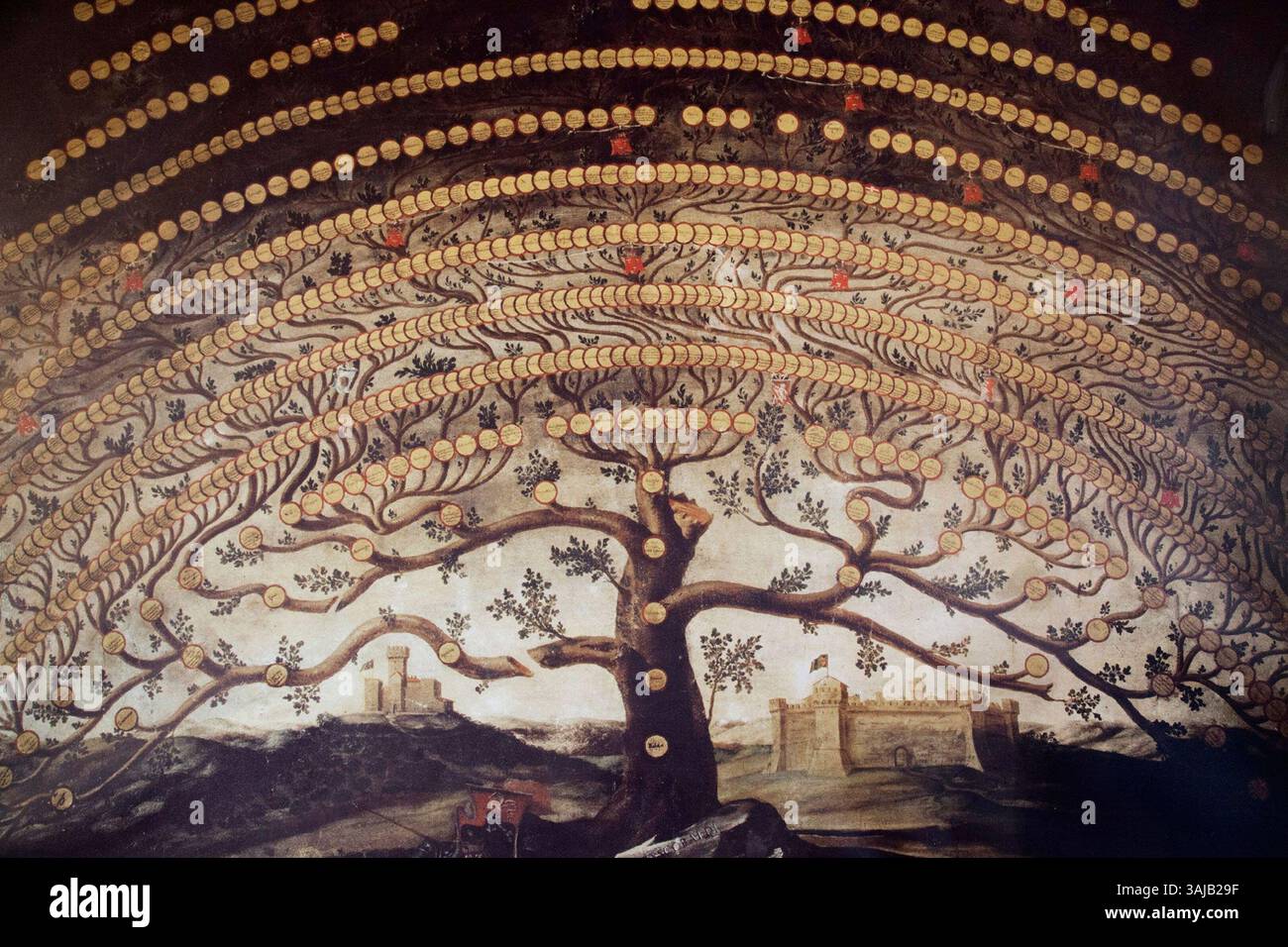 A 17th-century genealogical tree of the Frescobaldi family. The tree ...