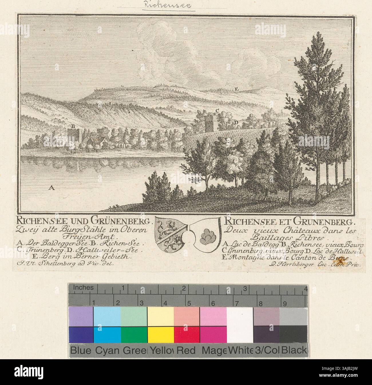 View of the Richensee and Grünenberg castles in the Oberes Freien-Amt ...