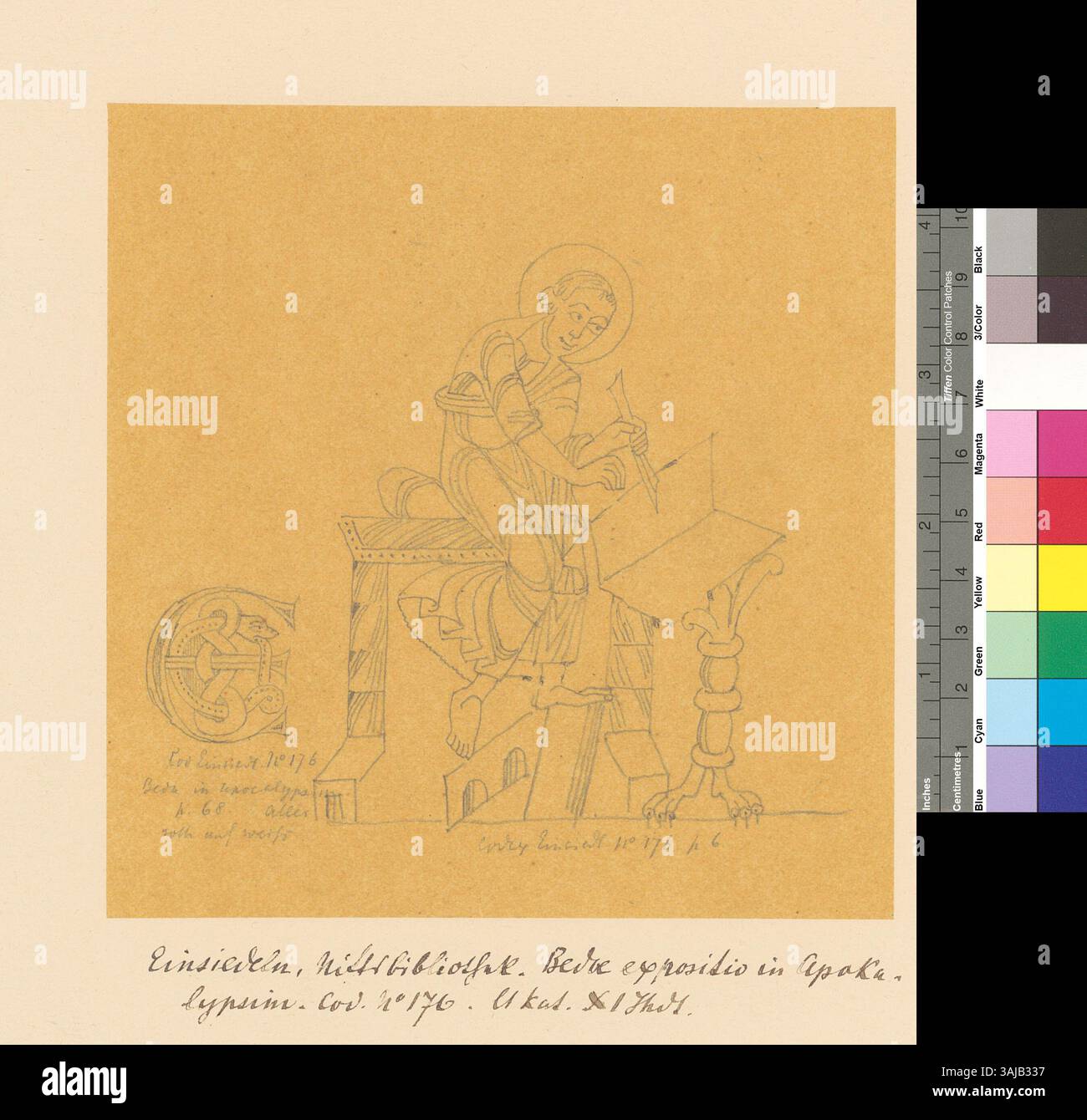 This drawing by Johann Rudolf Rahn reproduces a section from the ...