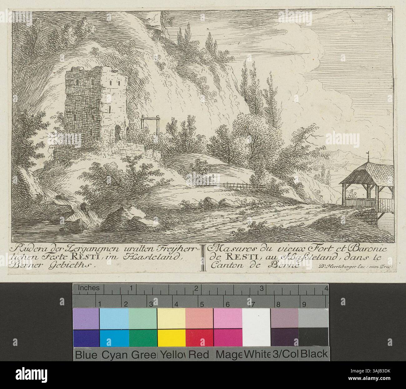 This print shows the ruins of the ancient noble castle of Resti ...