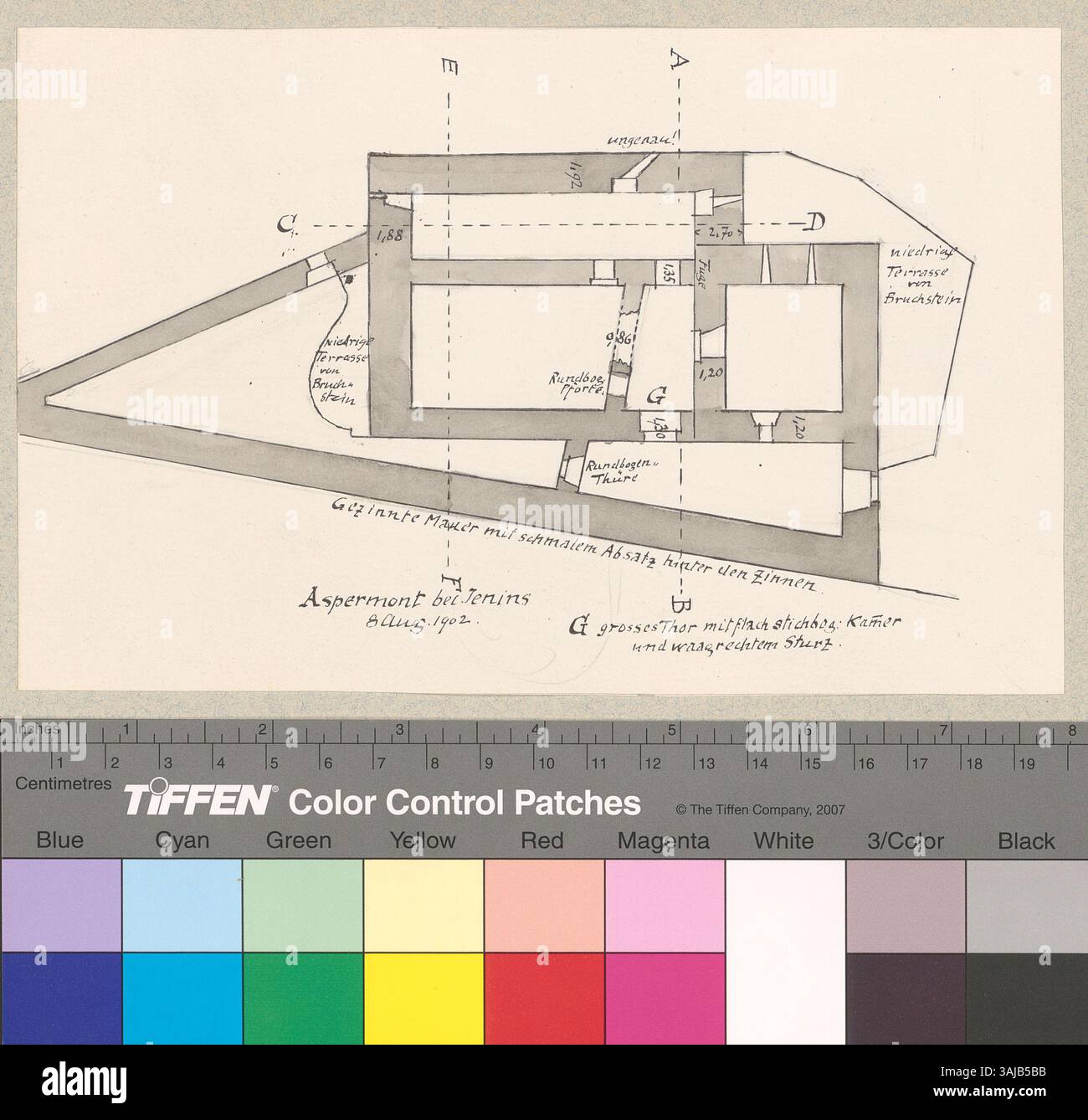 This print depicts the floor plan of the castle ruin Neu-Aspermont in ...