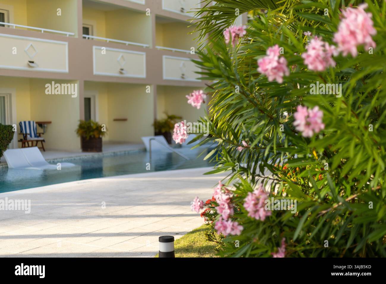 Enjoy tranquil ambiance sunny day hi-res stock photography and images ...