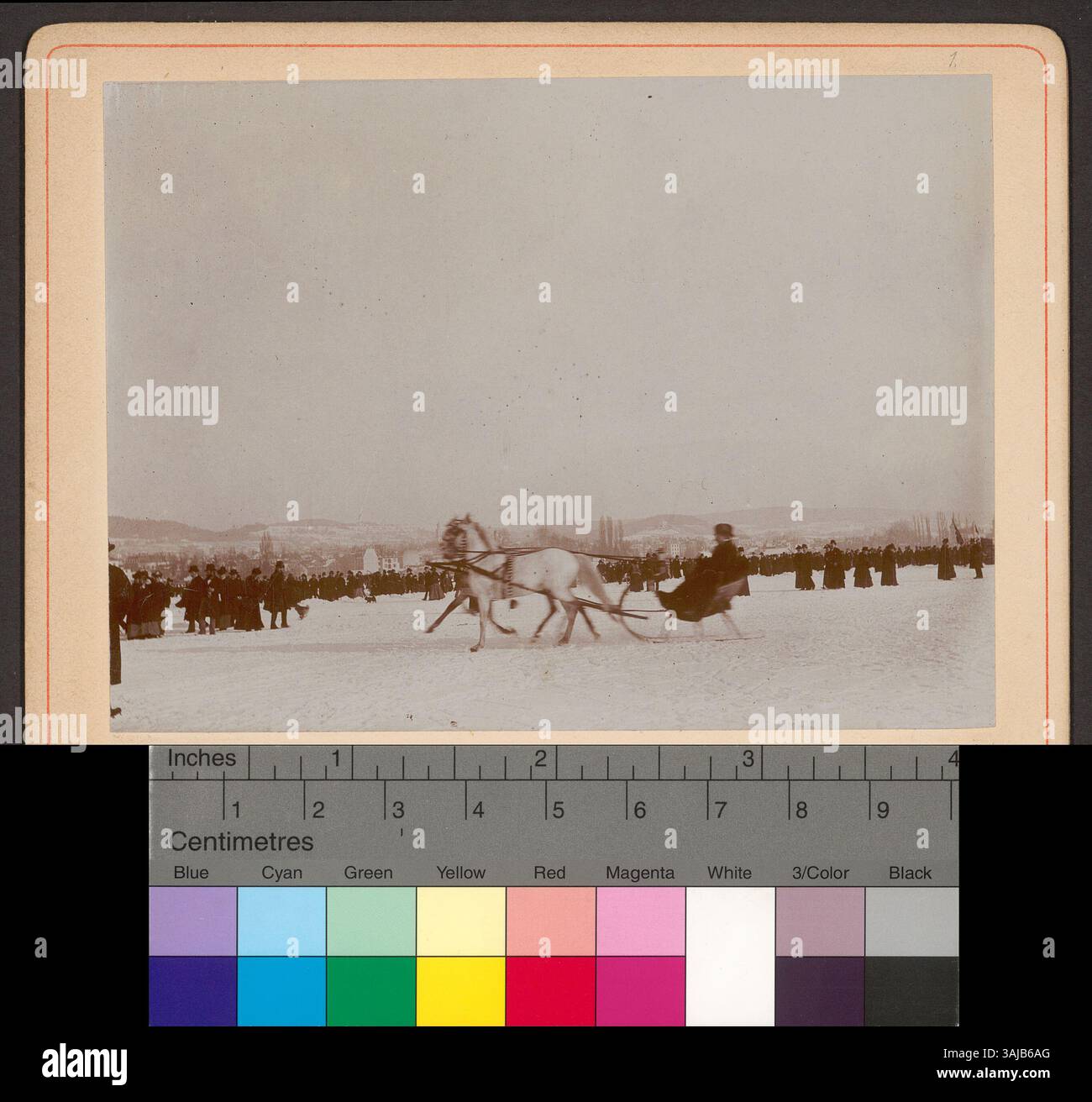 This image shows a small two-horse sleigh on Zurich Lake during the ...