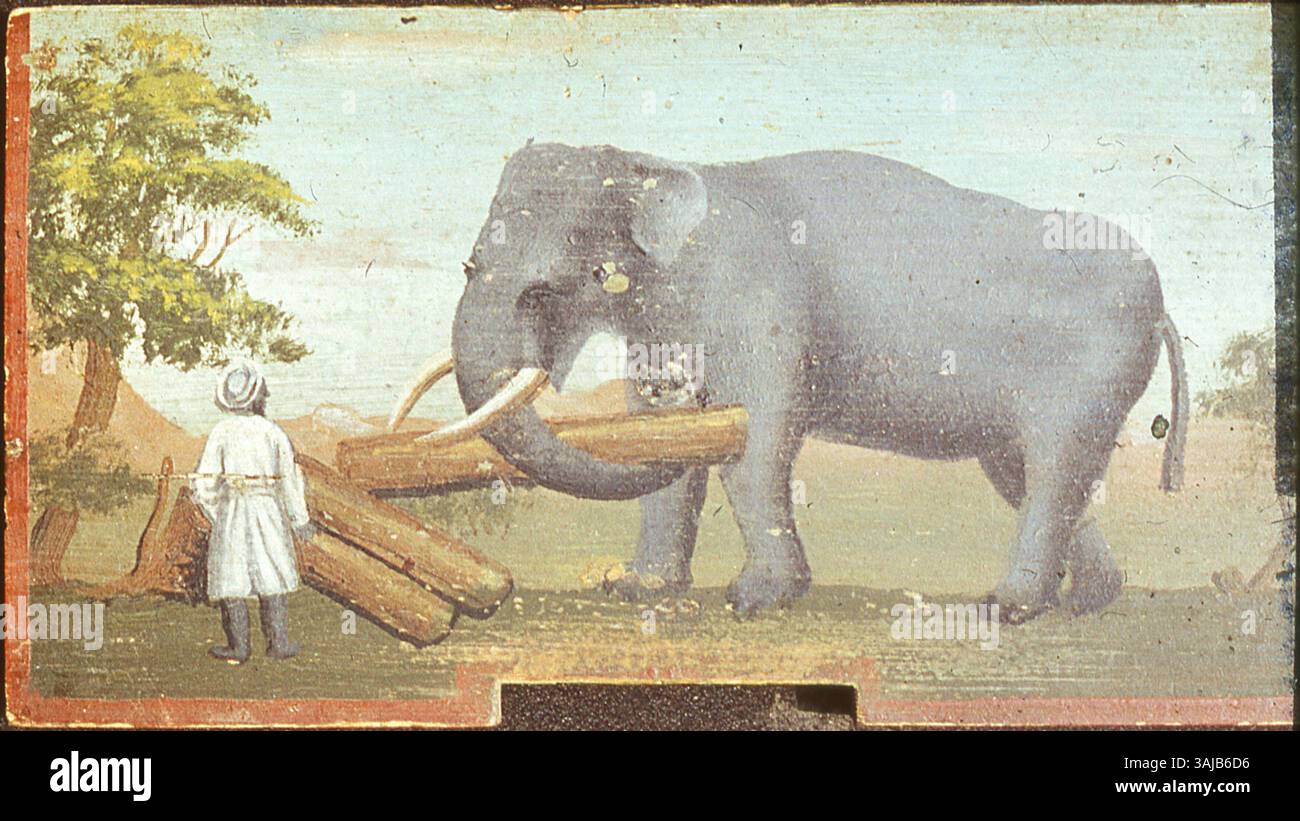 'Slon', or 'Elephant', is a 19th-century painting housed at the Museum ...