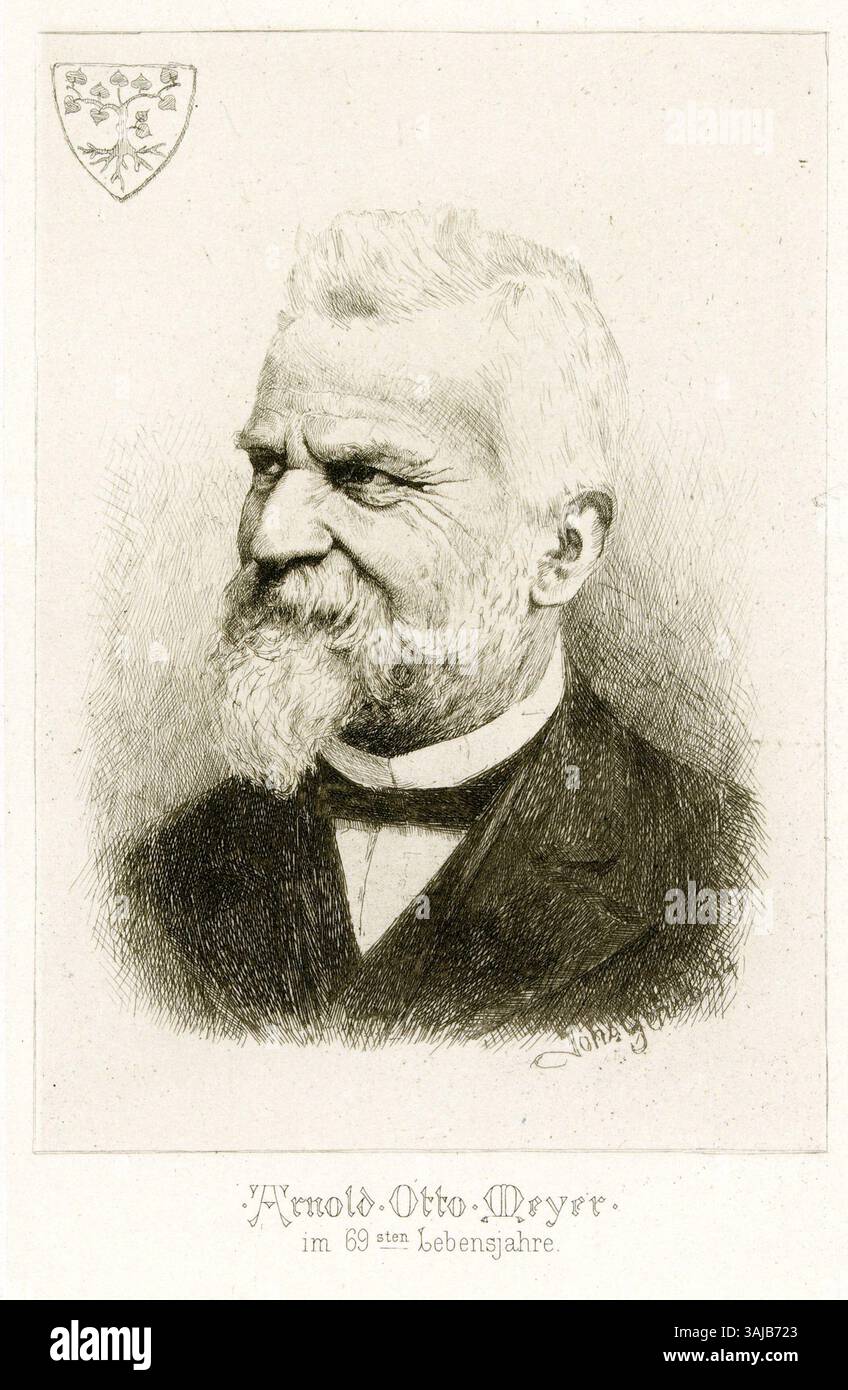 This 1894 portrait of Arnold Otto Meyer by Johannes Gehrts is a finely ...