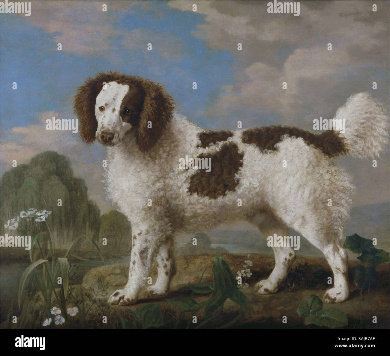 George Stubbs' 1778 oil painting of a Brown and White Norfolk Spaniel ...