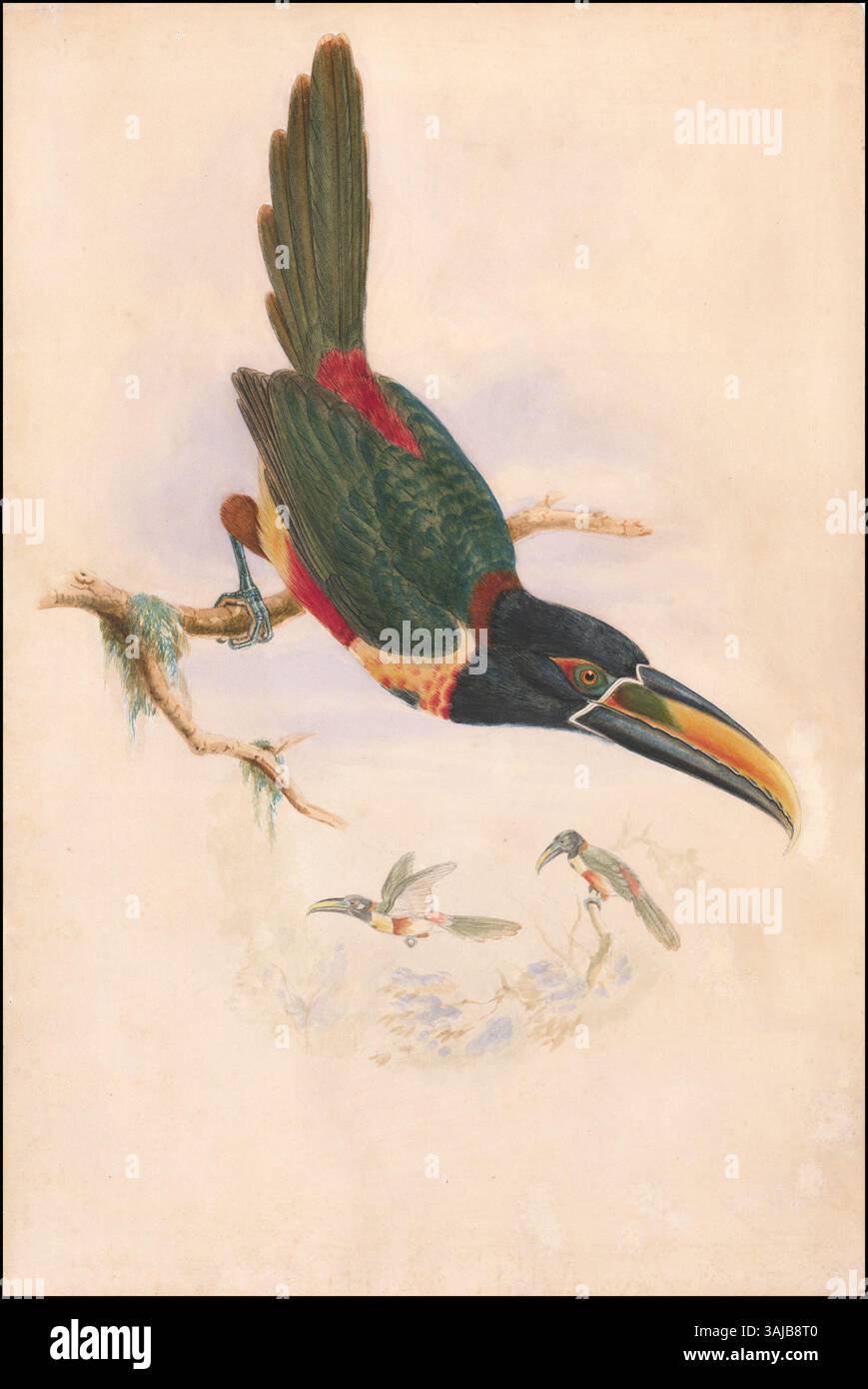 This circa 1870 watercolored lithograph by William Matthew Hart depicts ...