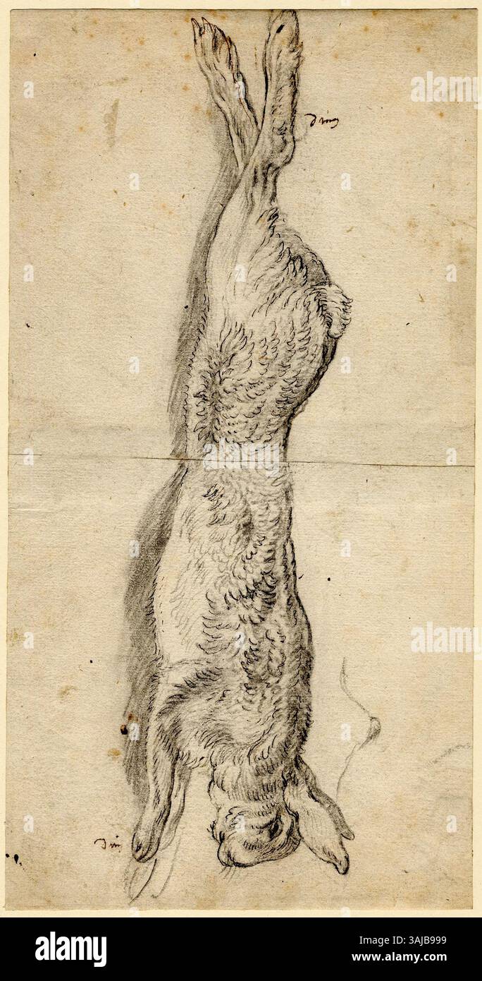 A drawing by Jan Fyt titled 'A Dead Hare,' created between 1626 and ...