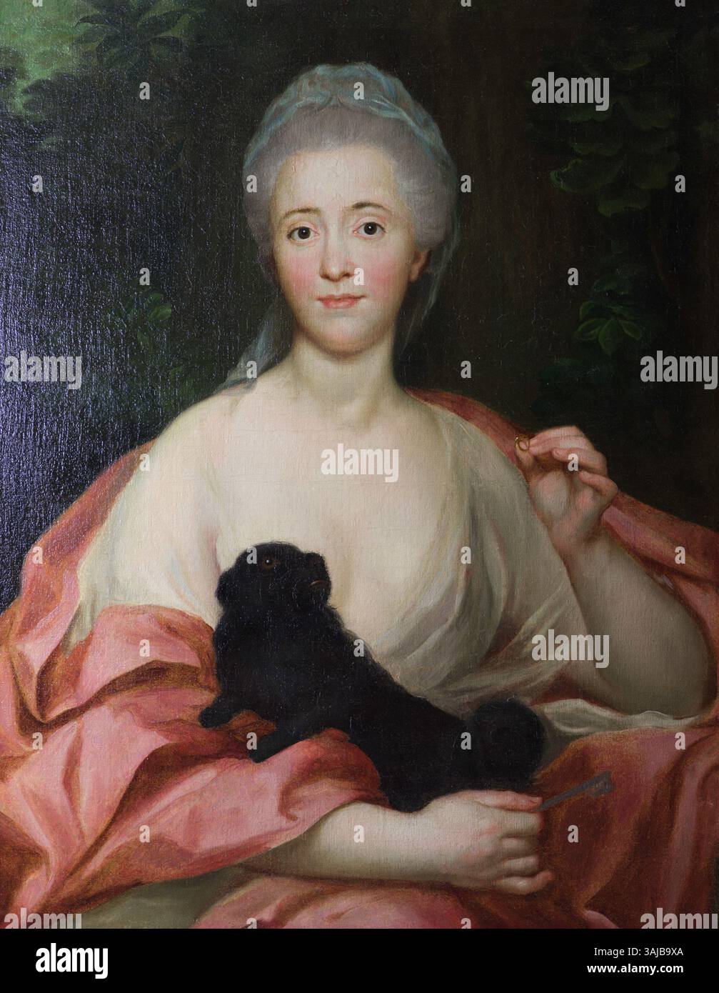 Anton Raphael Mengs’ 1775 portrait of Mariana de Silva-Bazán y ...