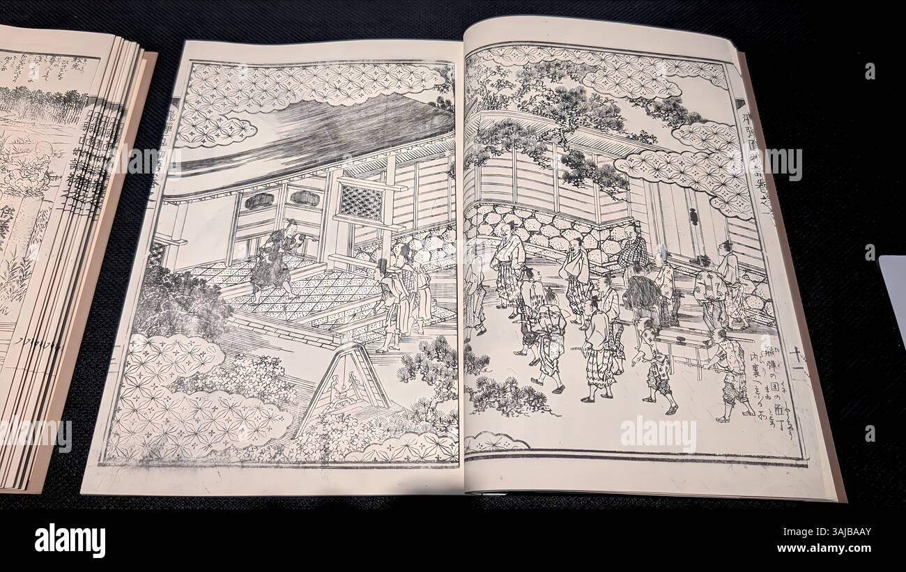 A final reference to 'Souka Kinmei 45695' that remains unidentified ...