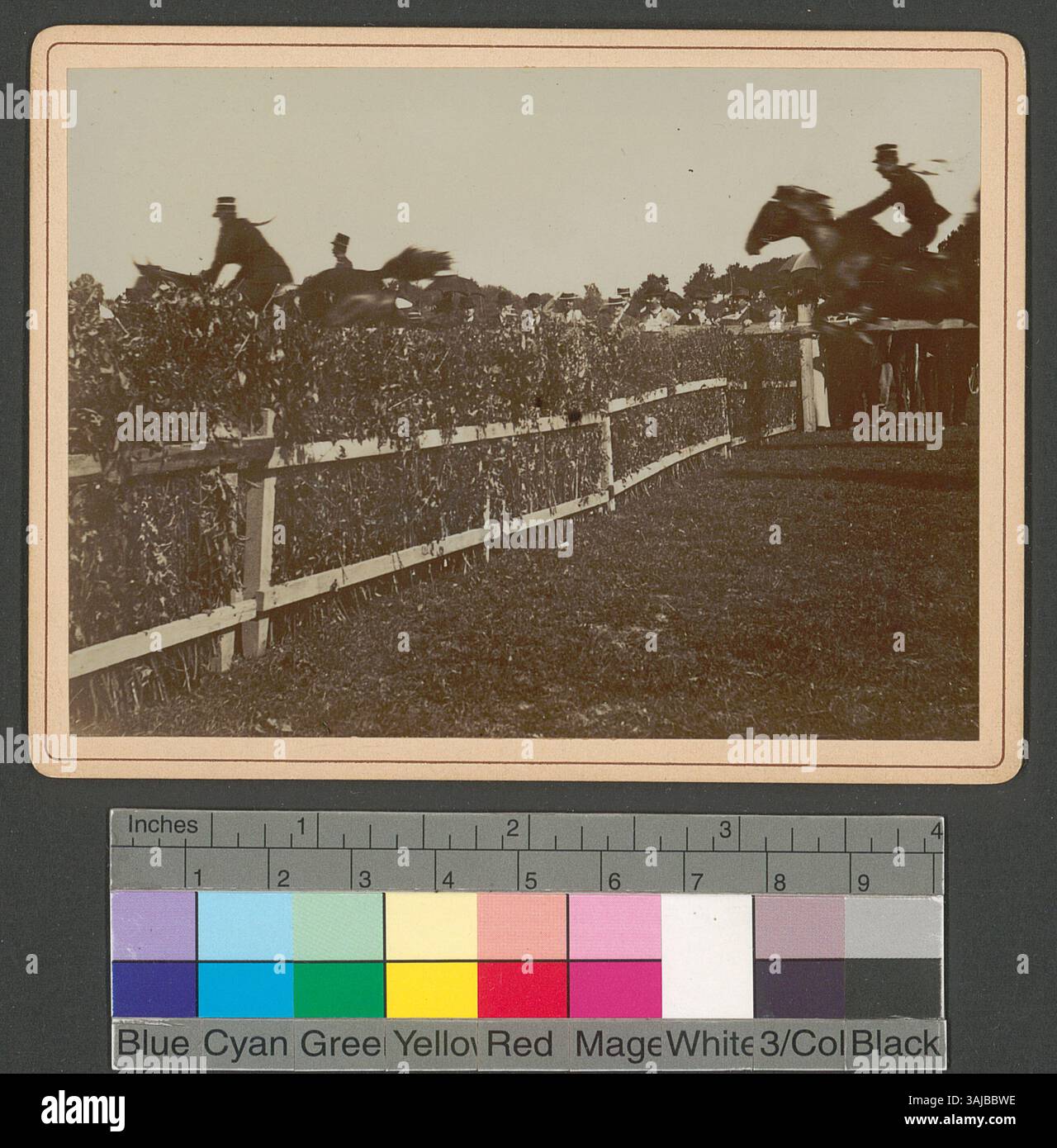 This photograph, taken between 1886 and 1910, shows racehorses with ...