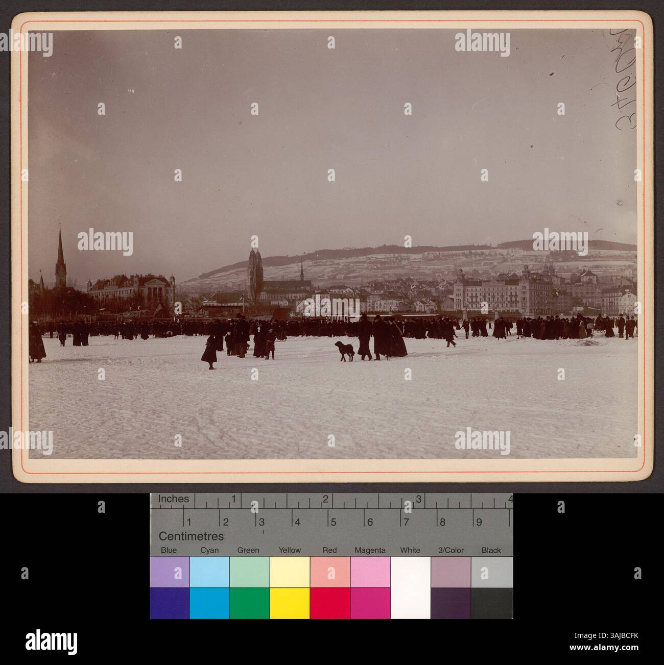 This 1891 photograph shows three people with a dog by the frozen Zurich ...