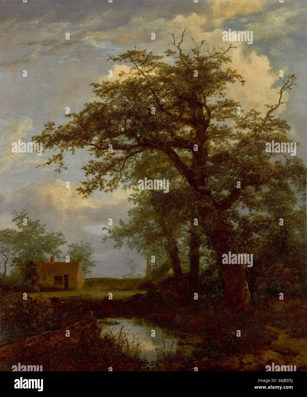This 1650 painting by Jacob van Ruisdael portrays a tranquil wooded ...