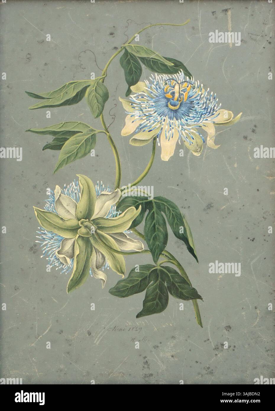 This 1849 watercolour by Johann Heinrich Müller, titled *Passion ...