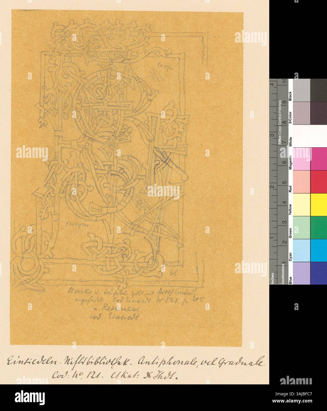 Johann Rudolf Rahn copied a section of the 'Graduale - Notkeri ...