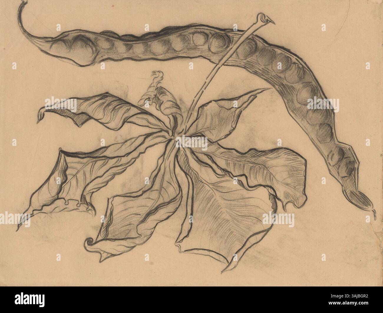 Van goghs legacy hi-res stock photography and images - Alamy