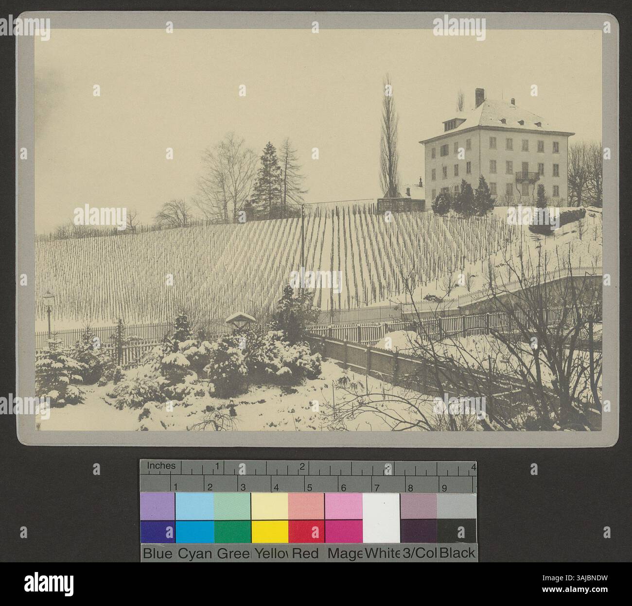 This 1903 photograph by Robert Breitinger shows Oberes Bürgli with its ...