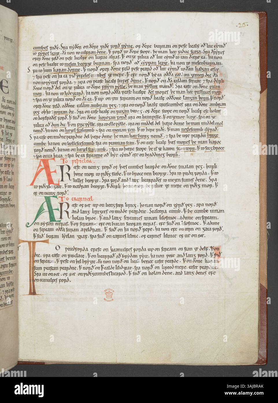The Codex Wintoniensis continues with this page, displaying detailed ...