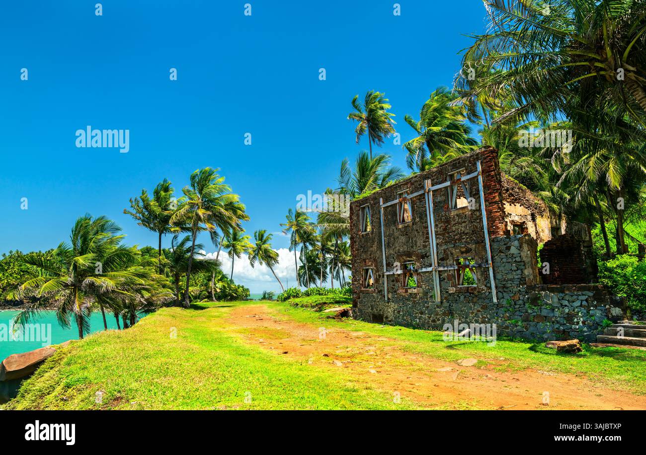 Old ruins at Royale Island, one of Salvation Islands in French Guiana ...