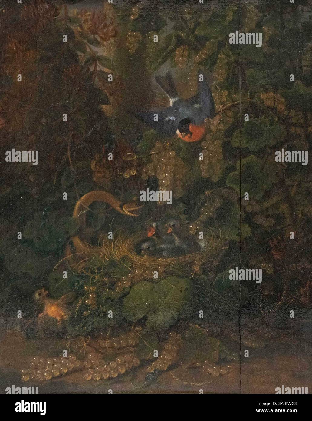 This 19th-century oil painting shows a snake threatening a small robin ...