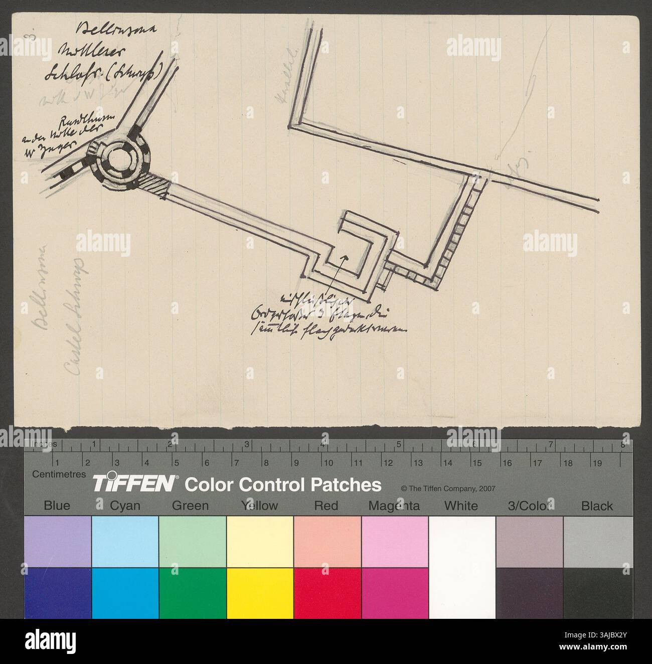 Johann Rudolf Rahn’s illustration, created between 1860 and 1910 ...