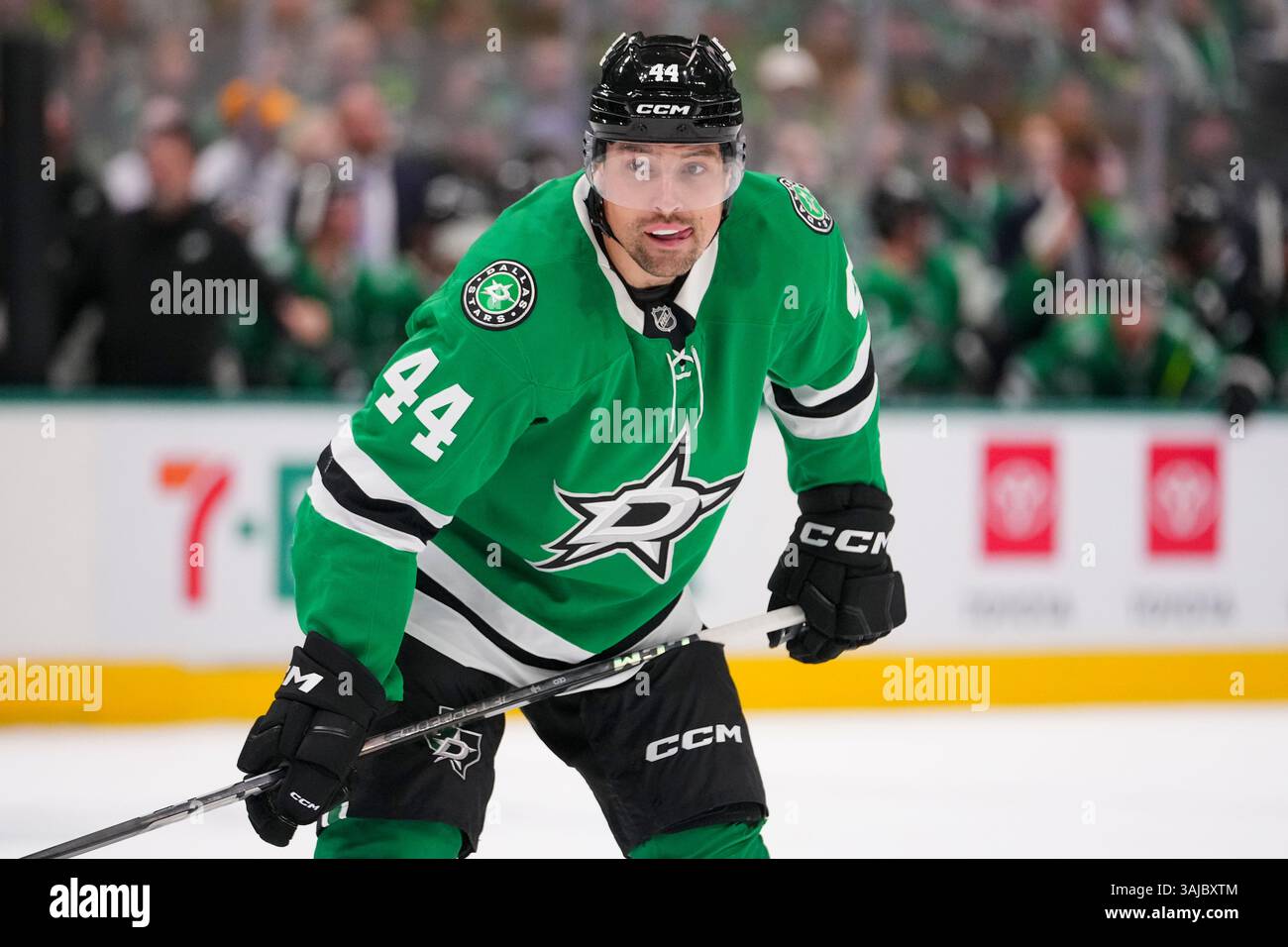 Dallas Stars defenseman Cody Ceci waits for the puck drop against the ...