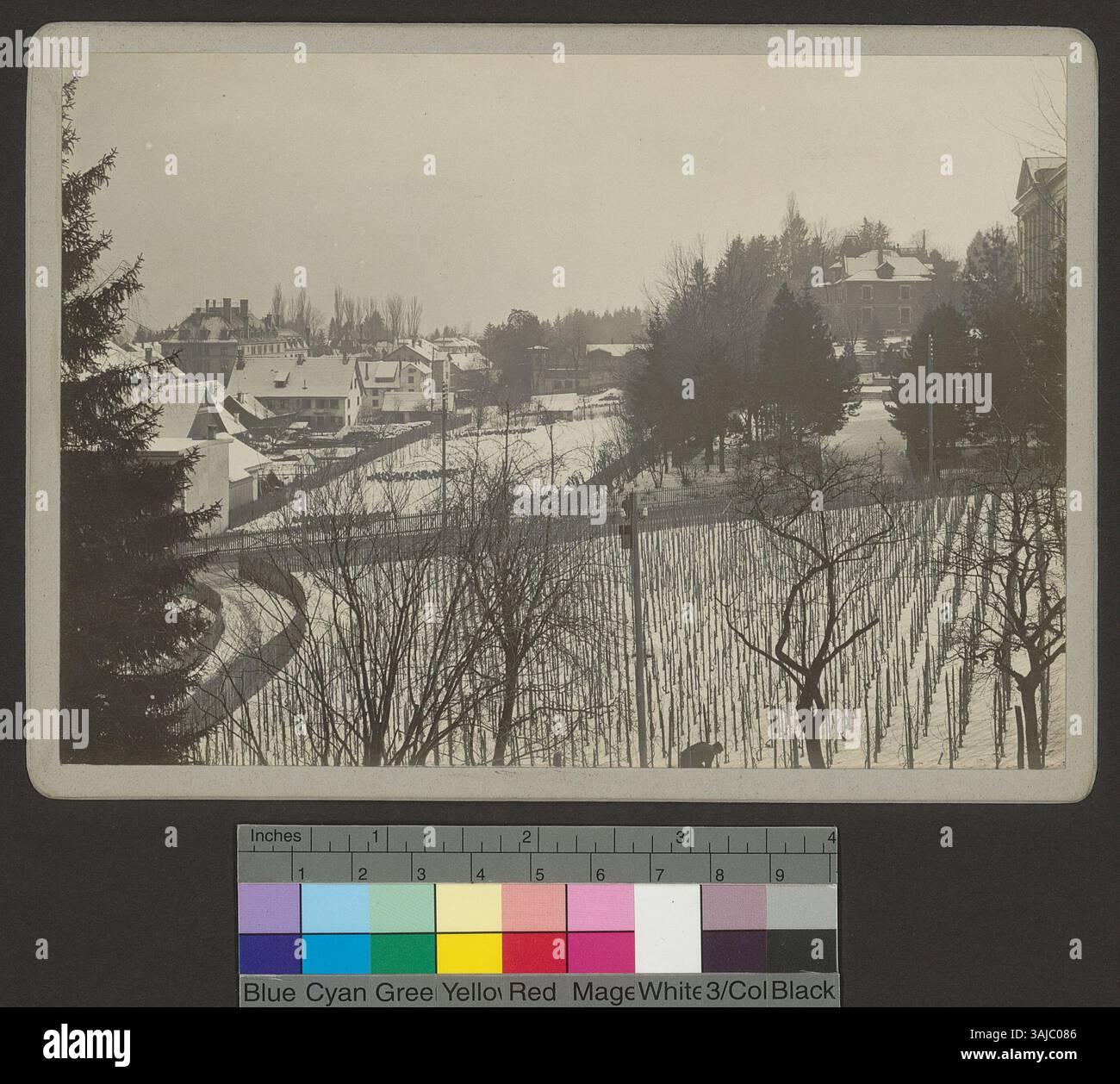 This 1901 photograph by Robert Breitinger shows a southeastern view ...