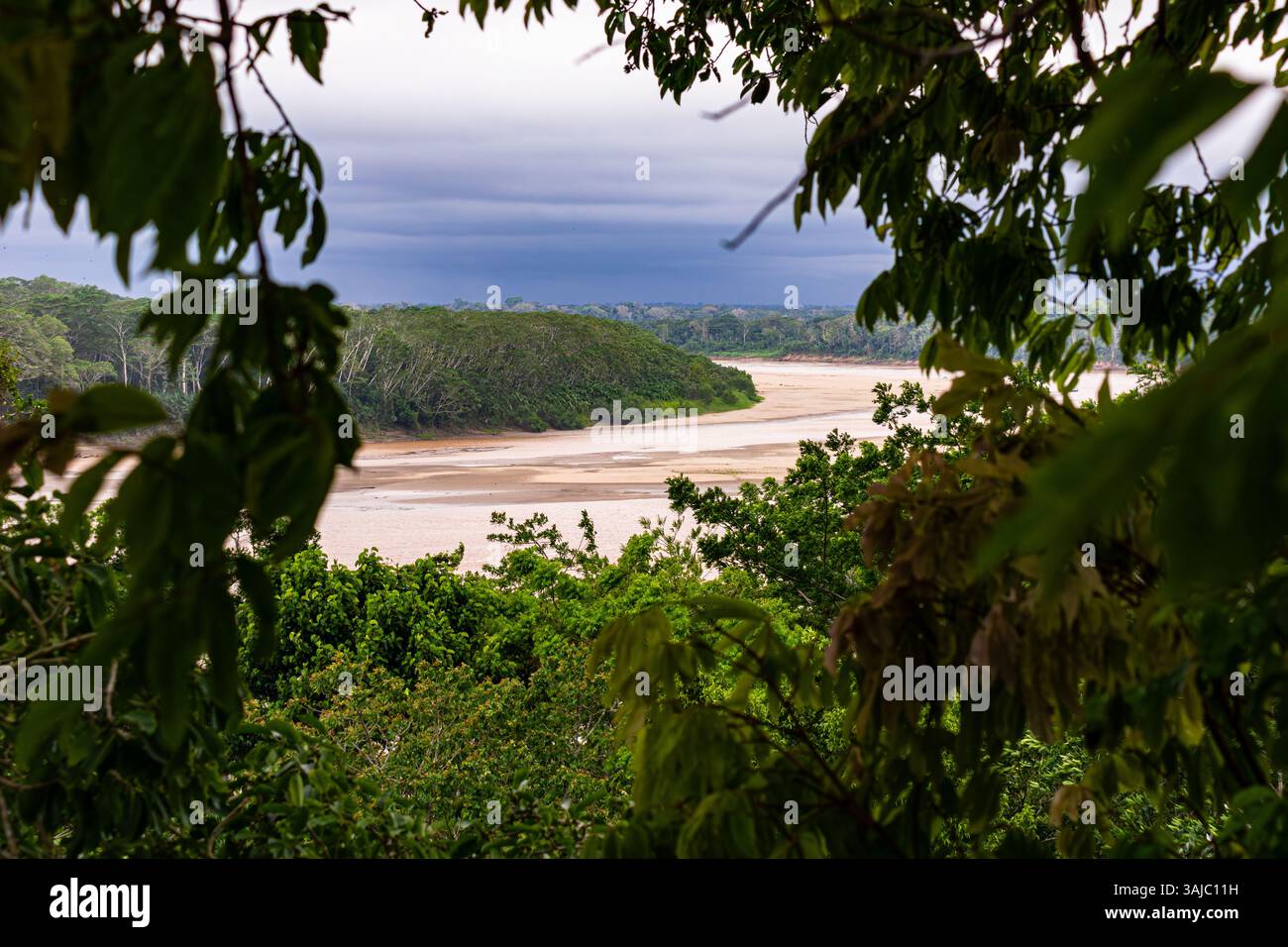 Aerial view verdant amazon rainforest hi-res stock photography and ...