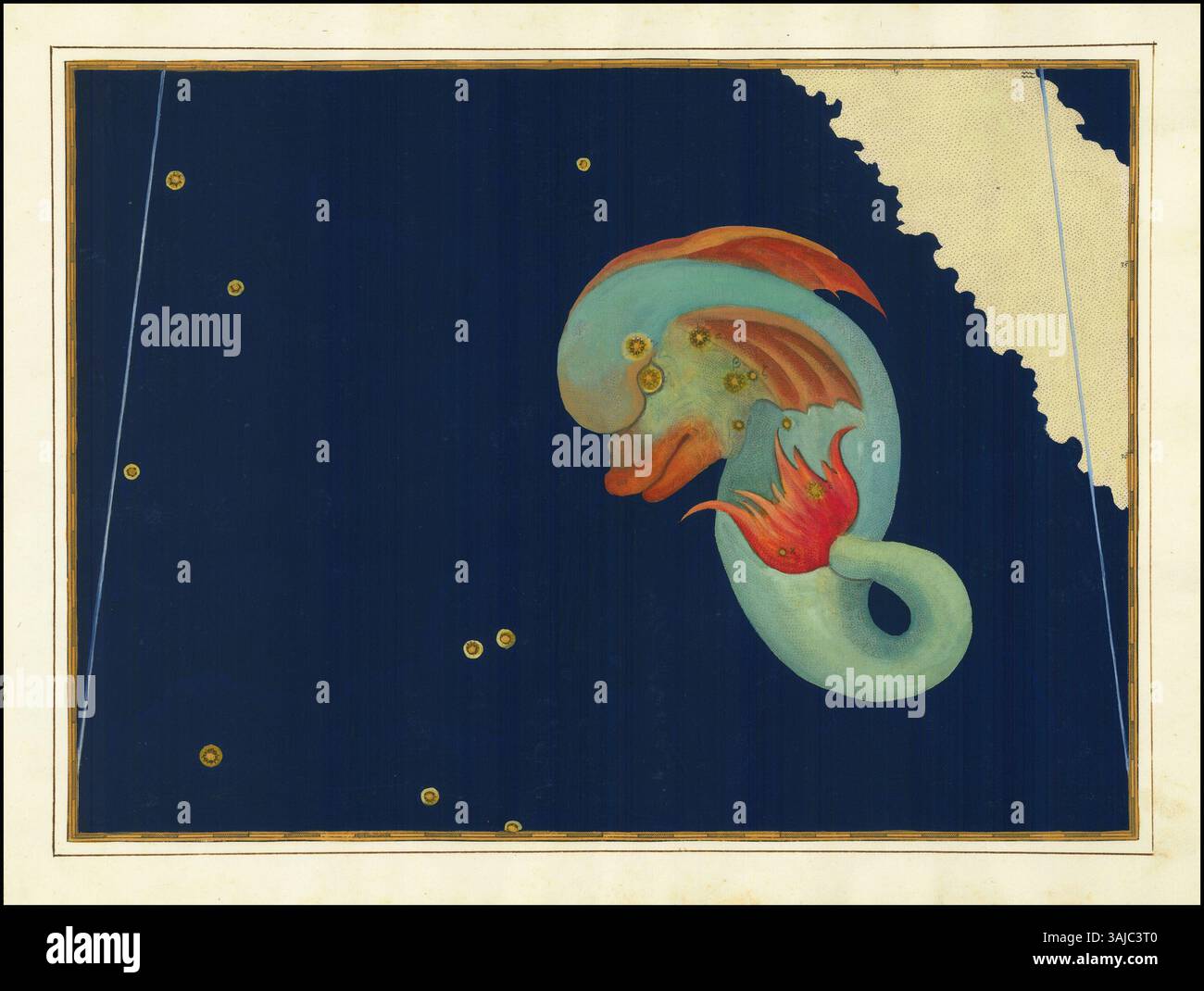 Delphinus constellation hi-res stock photography and images - Alamy