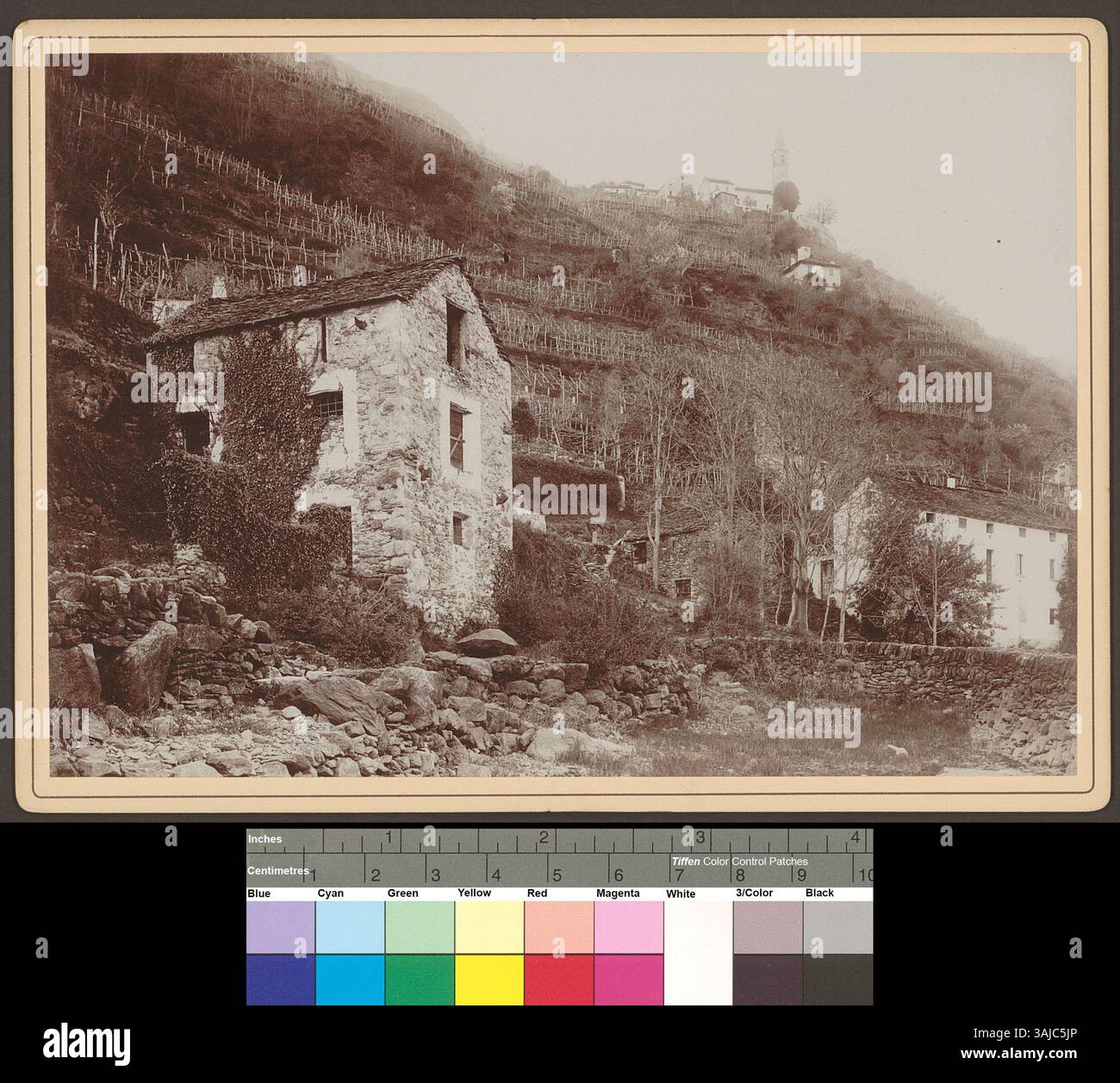 This image captures the ruins by the lake at Porto di Ronco. The scene ...