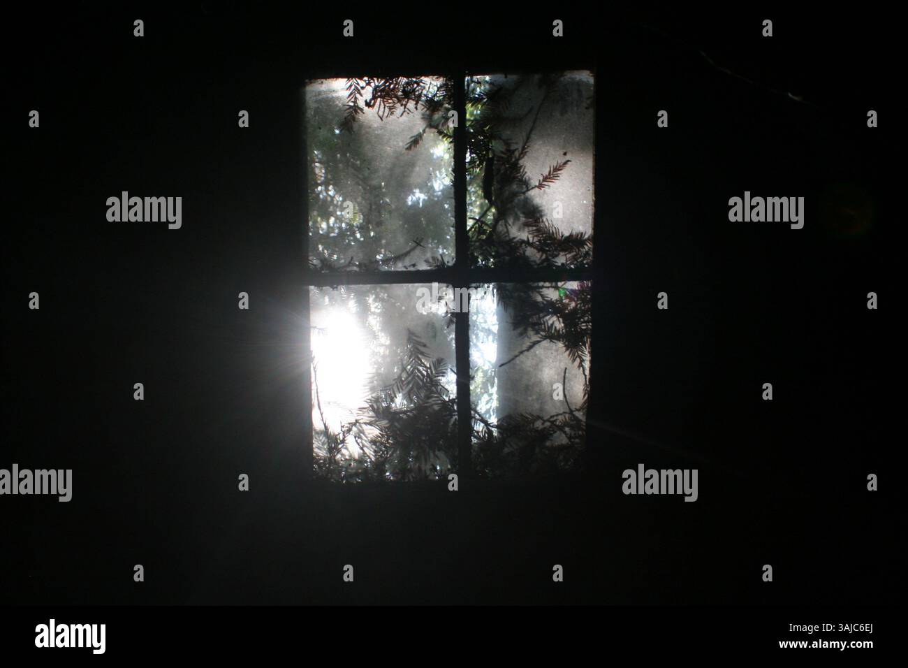 Darkness in the window hi-res stock photography and images - Alamy