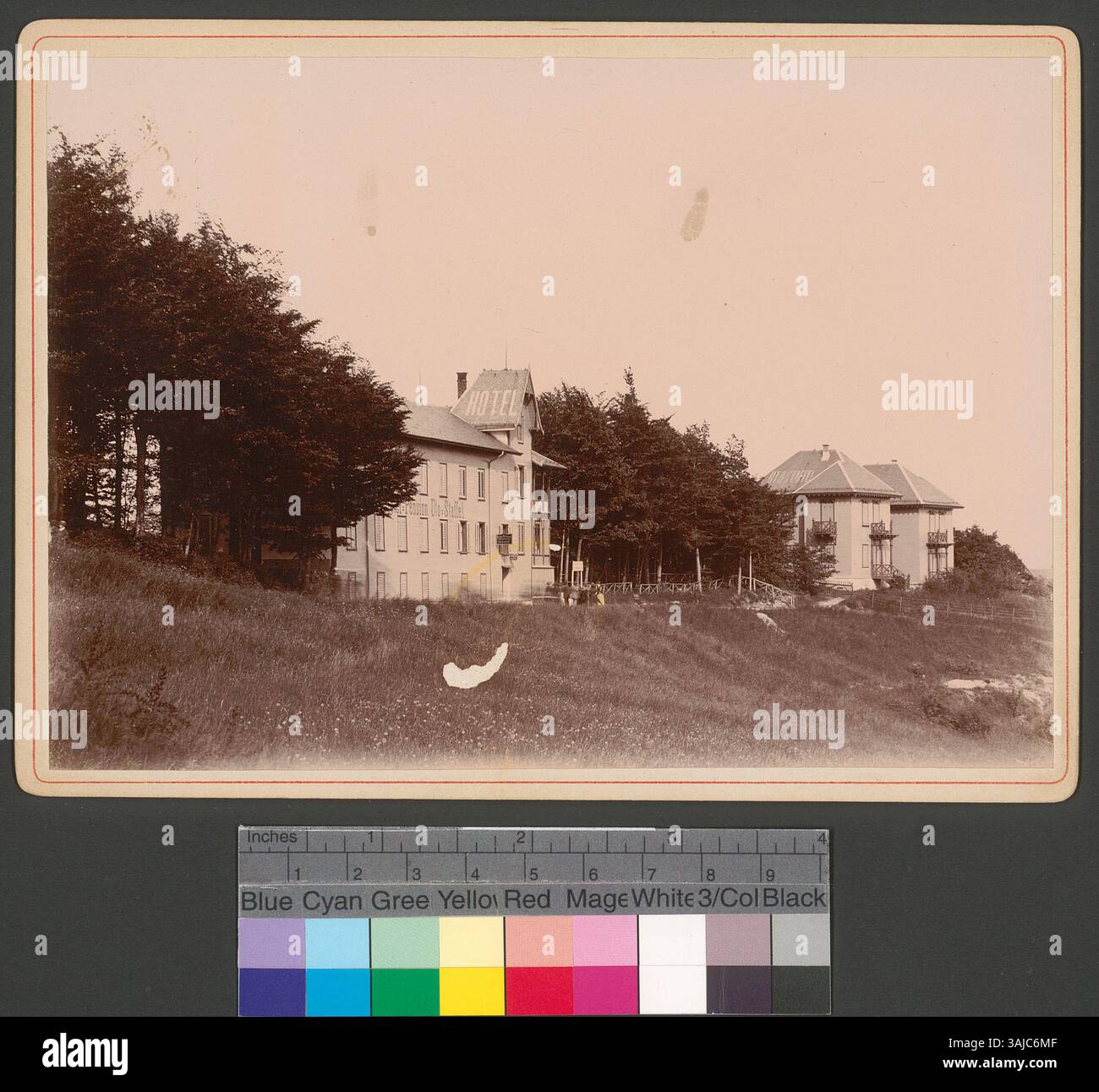A photograph of Uto Staffel, captured in 1889 by Robert Breitinger. The ...