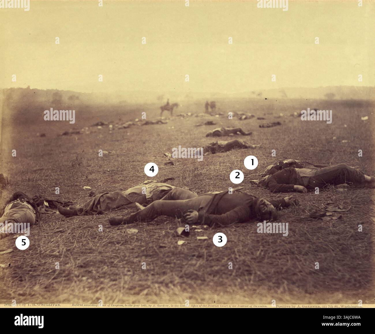A Harvest of Death, Gettysburg, PA, by Timothy H. O'Sullivan, shows the ...