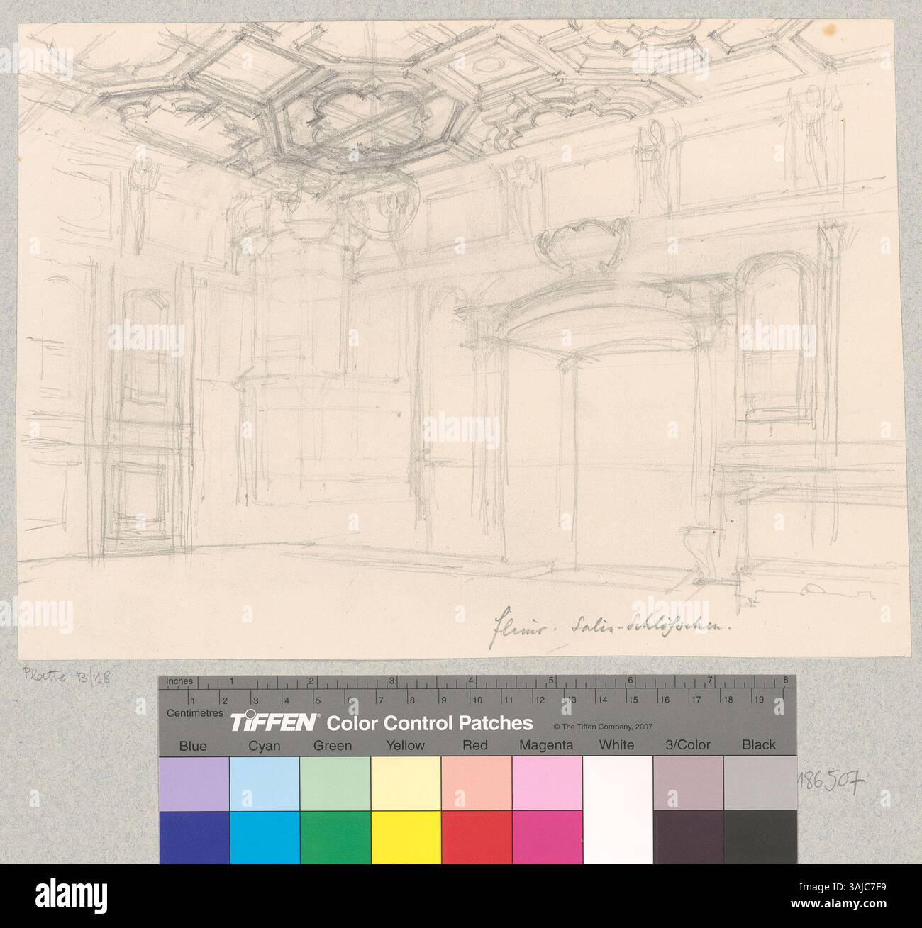The image depicts the ceremonial room in the main floor of the Salis ...