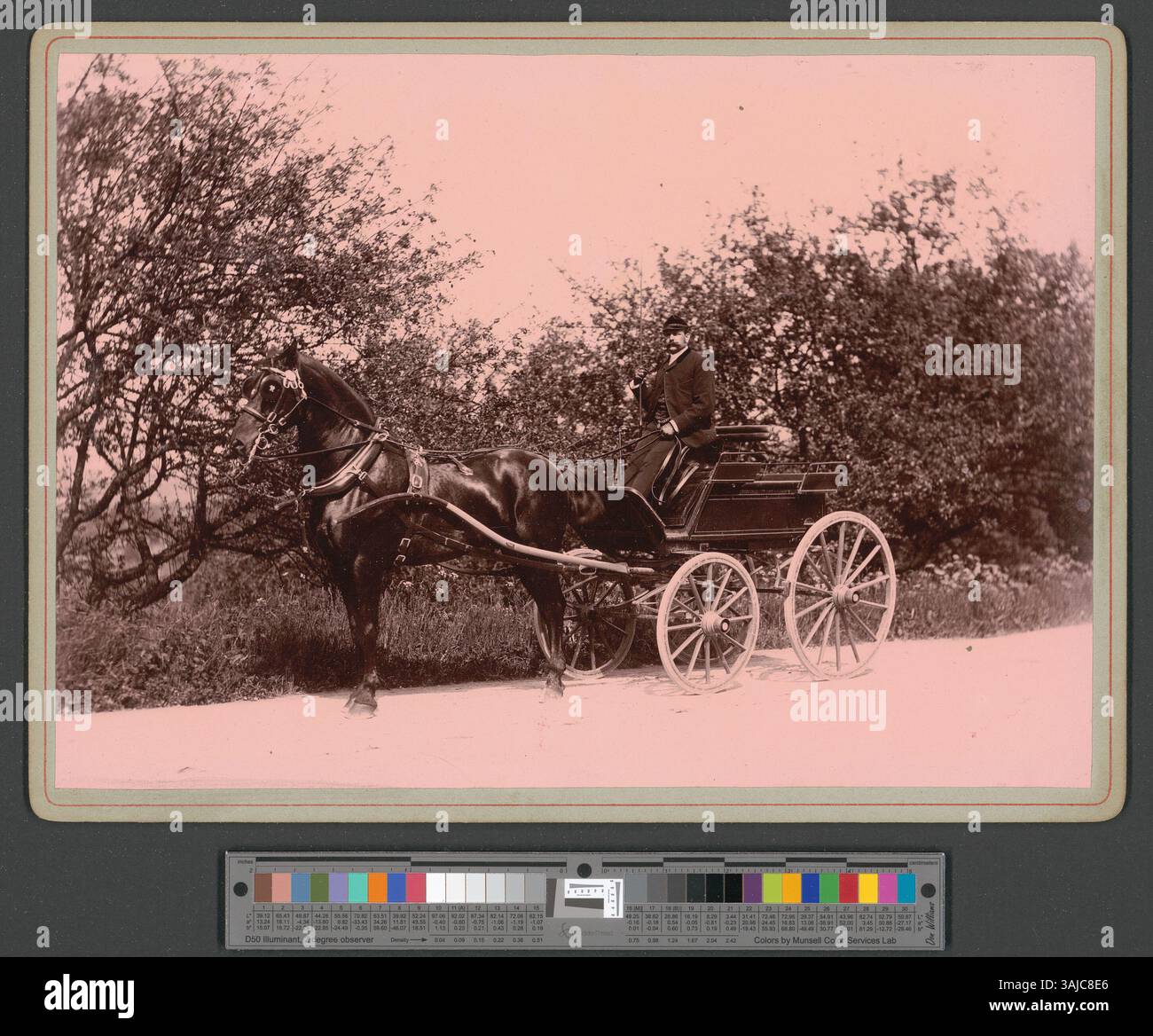 This 1889 photo captures a horse-drawn carriage near Triemli, Zurich. A ...