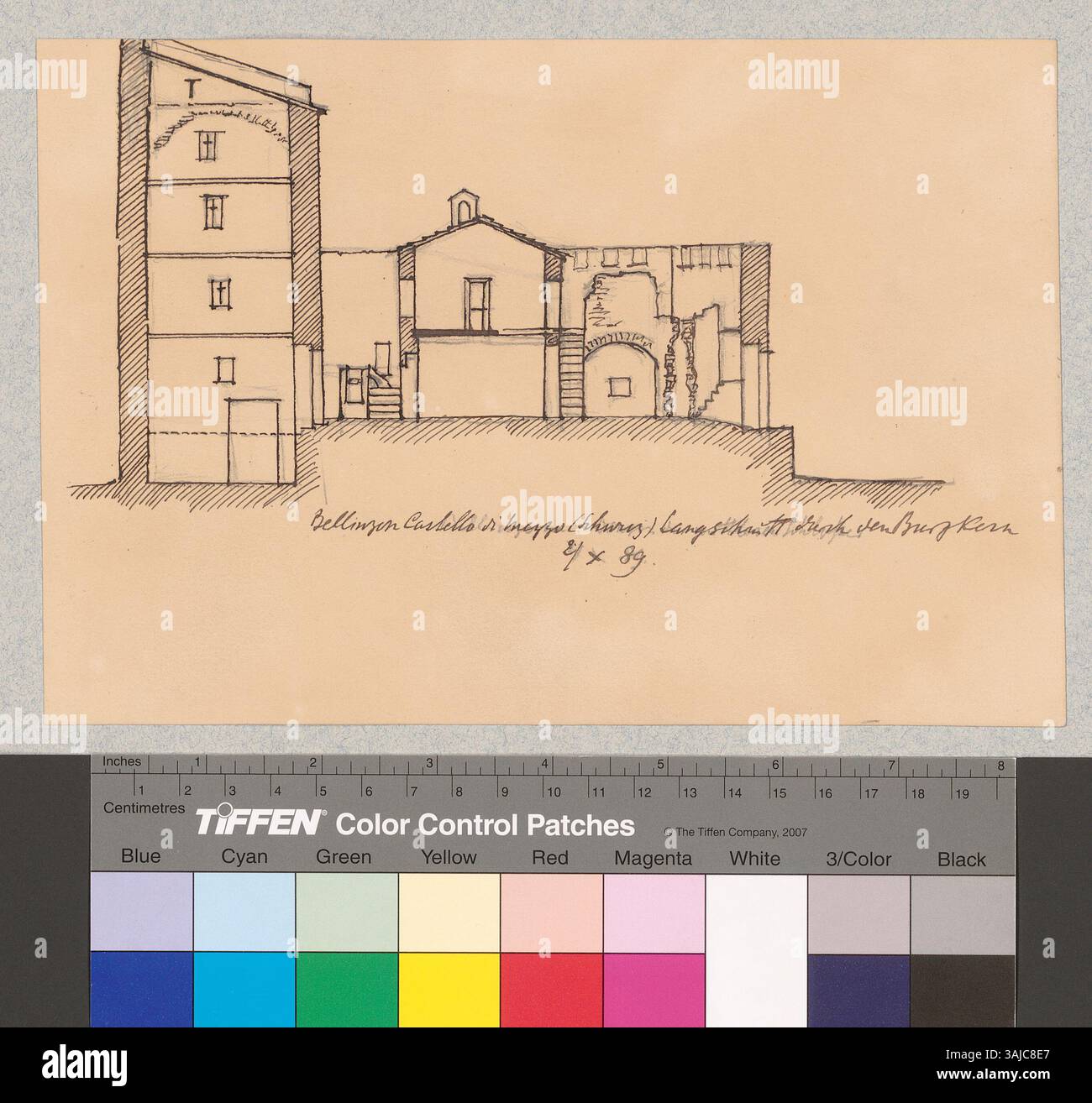 This 1889 illustration by Johann Rudolf Rahn shows a longitudinal ...