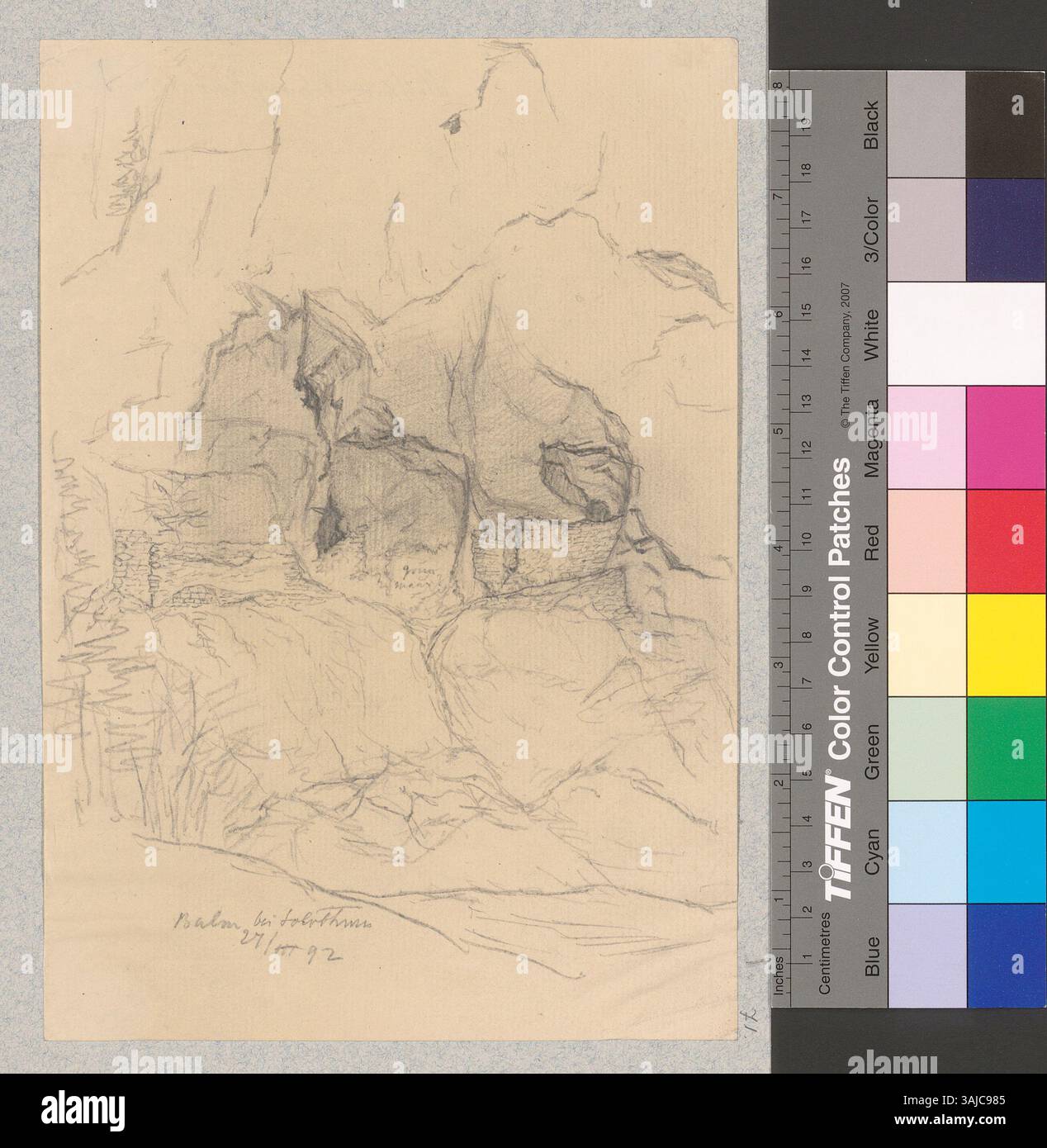 This 1892 drawing by Johann Rudolf Rahn captures a section of the Balm ...