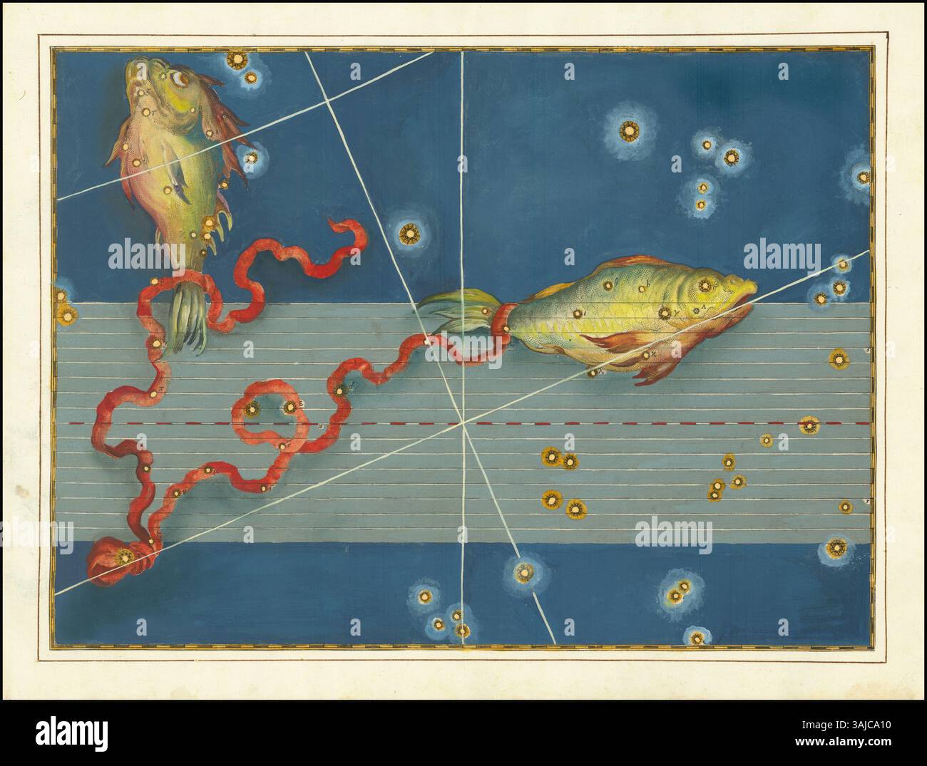 *Pisces*, a star chart by Johann Bayer, illustrates the constellation ...