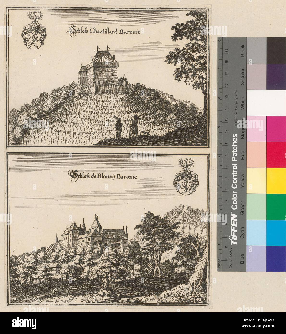 This etching by Caspar Merian features two views: Château de Châtelard ...