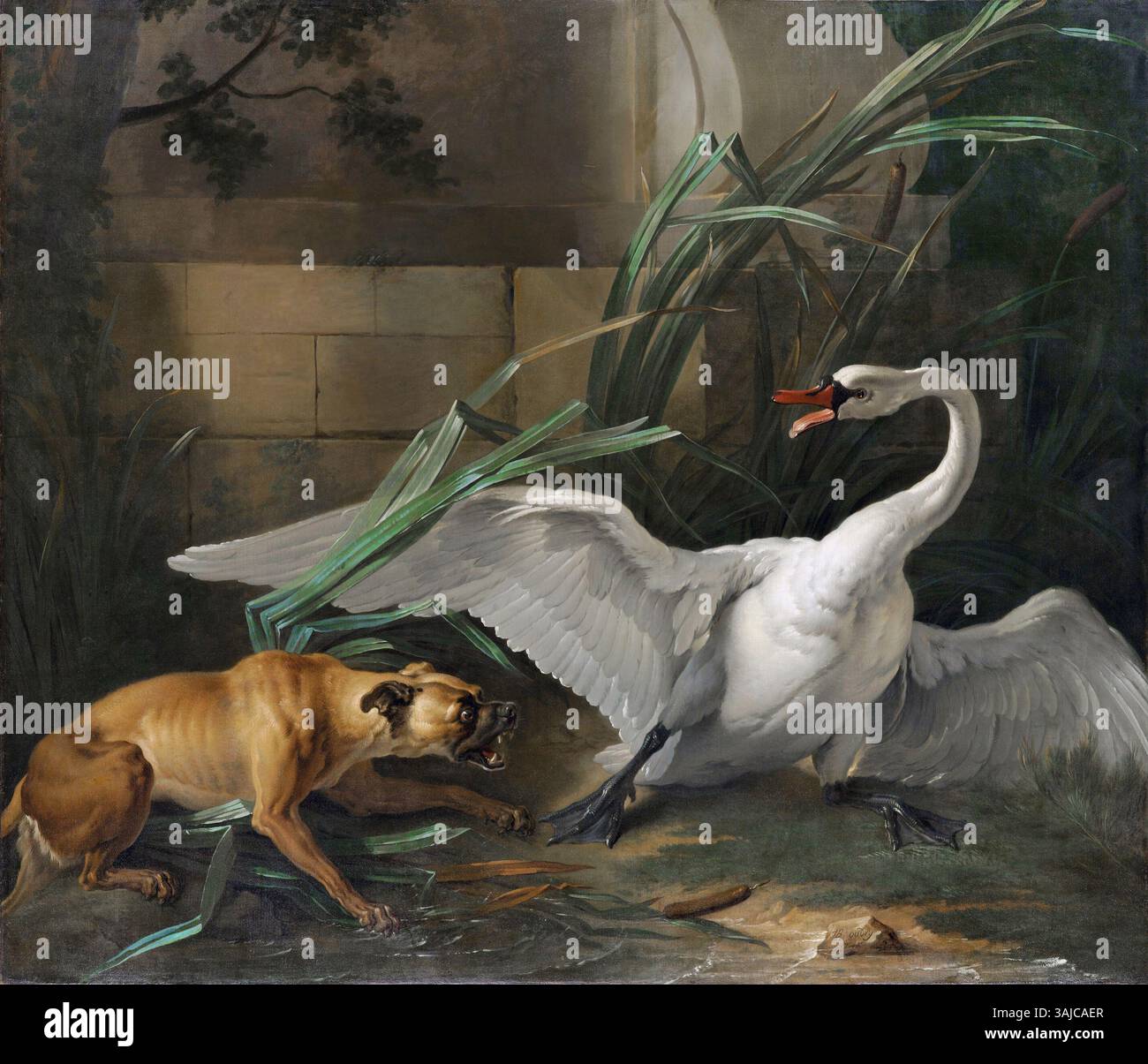 'Swan Attacked by a Dog' is a 1745 oil painting by Jean-Baptiste Oudry ...
