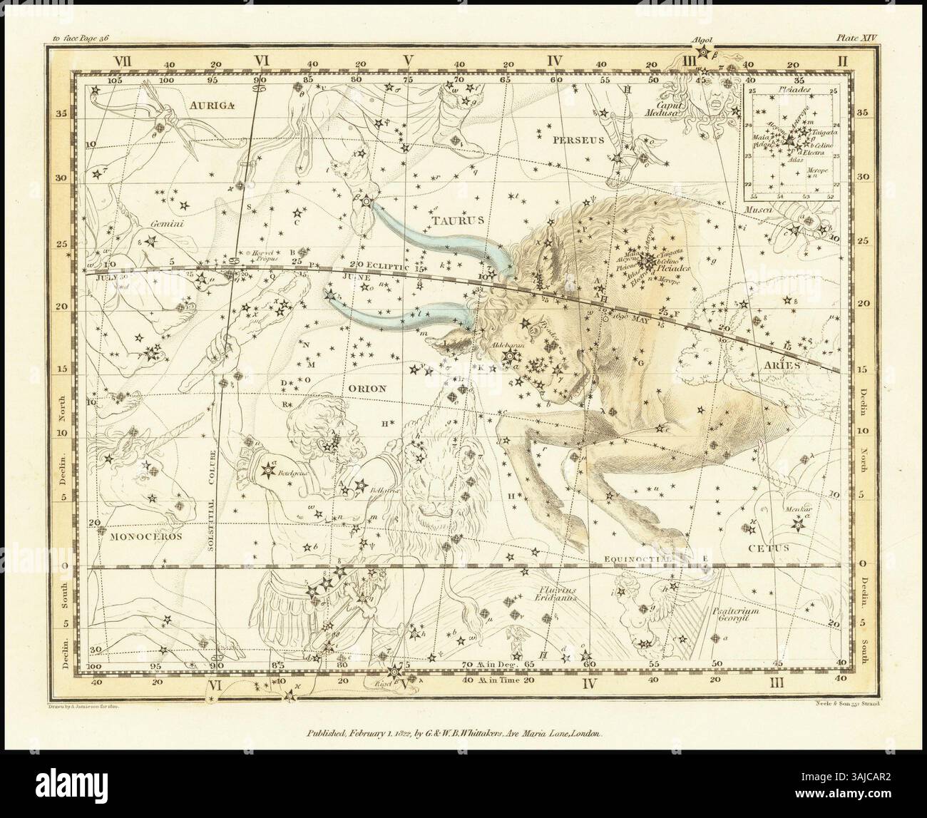 Alexander Jamieson's 1822 illustration 'Taurus' features the famous ...