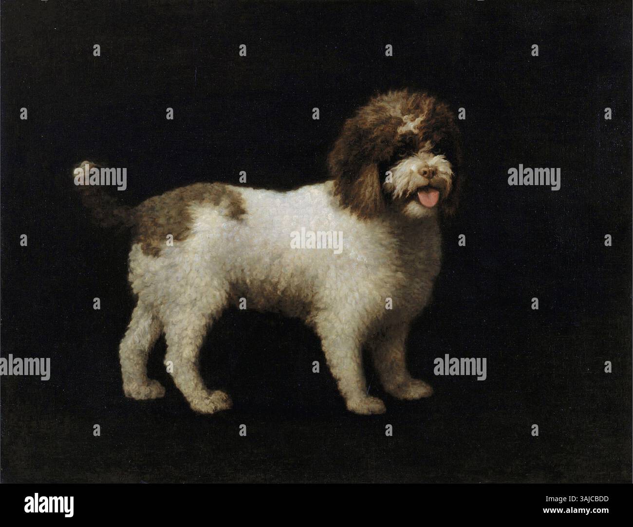 'Water Spaniel' (1769) by George Stubbs is an oil painting depicting a ...
