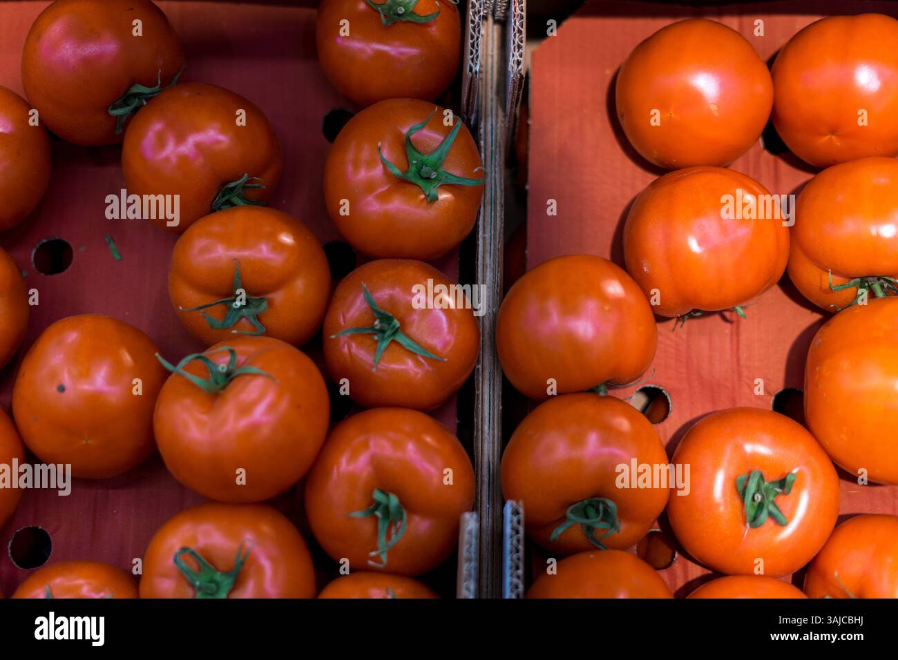 Cookery display cookery hi-res stock photography and images - Alamy