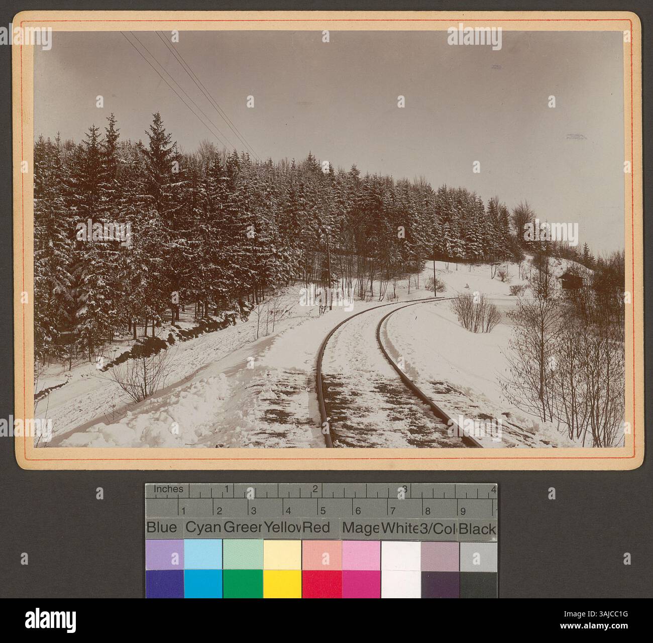 This photo shows a view of Uetliberg mountain taken from the railway ...