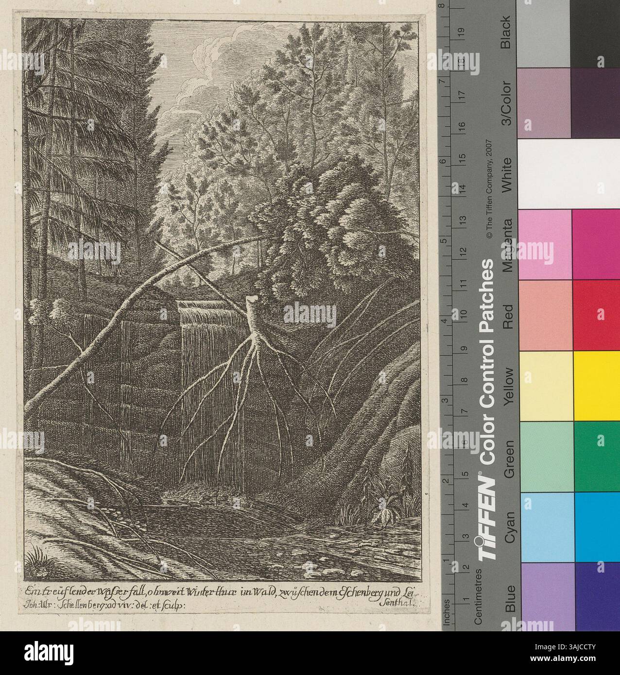 This etching, created by Johann Ulrich Schellenberg around 1773 ...