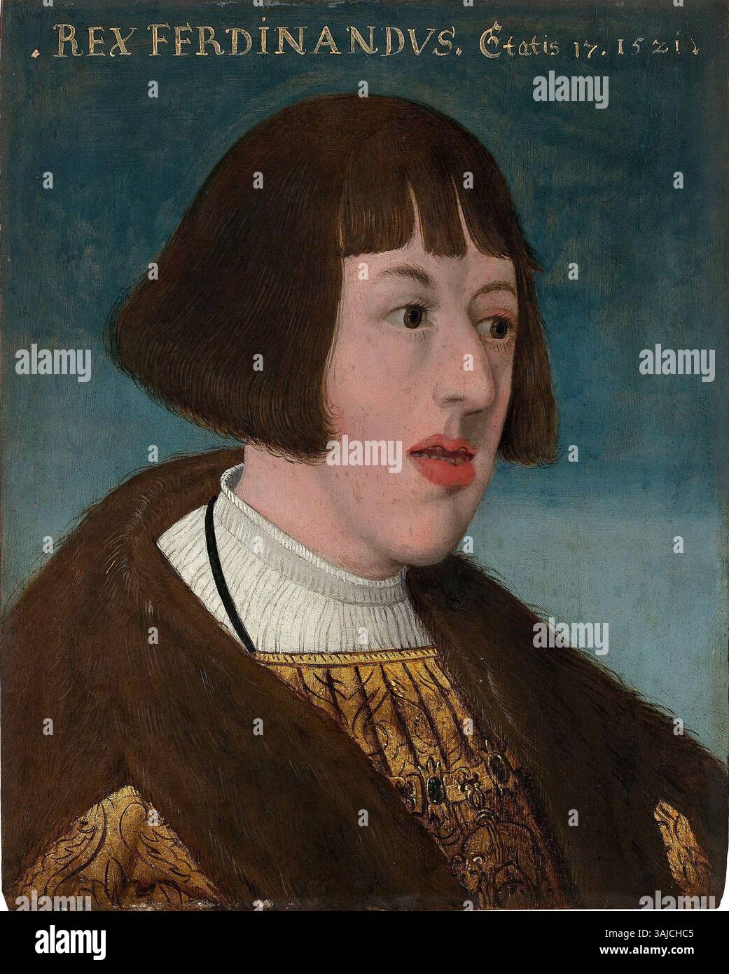 This early 16th-century portrait depicts Ferdinand I, Holy Roman ...