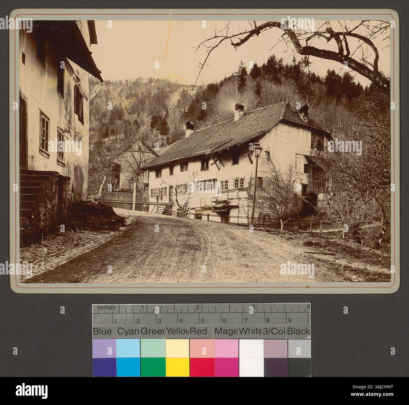 This 1889 photograph by Robert Breitinger shows Friesenbergstrasse ...