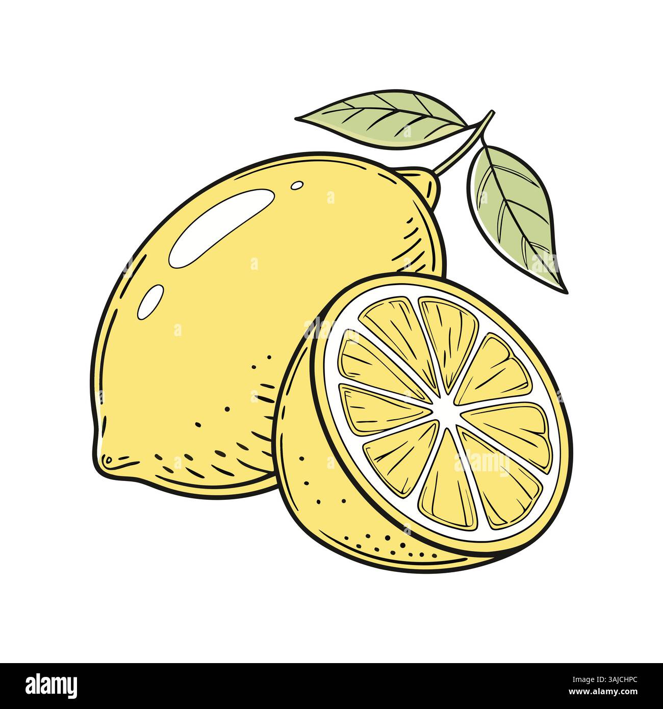 Hand drawn lemon Stock Vector Image & Art - Alamy
